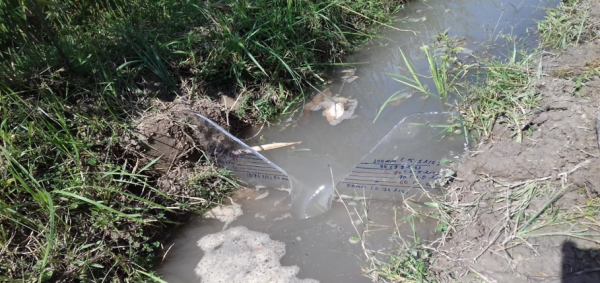 Comparing earthen channels with plastic piping for efficient and cost ...
